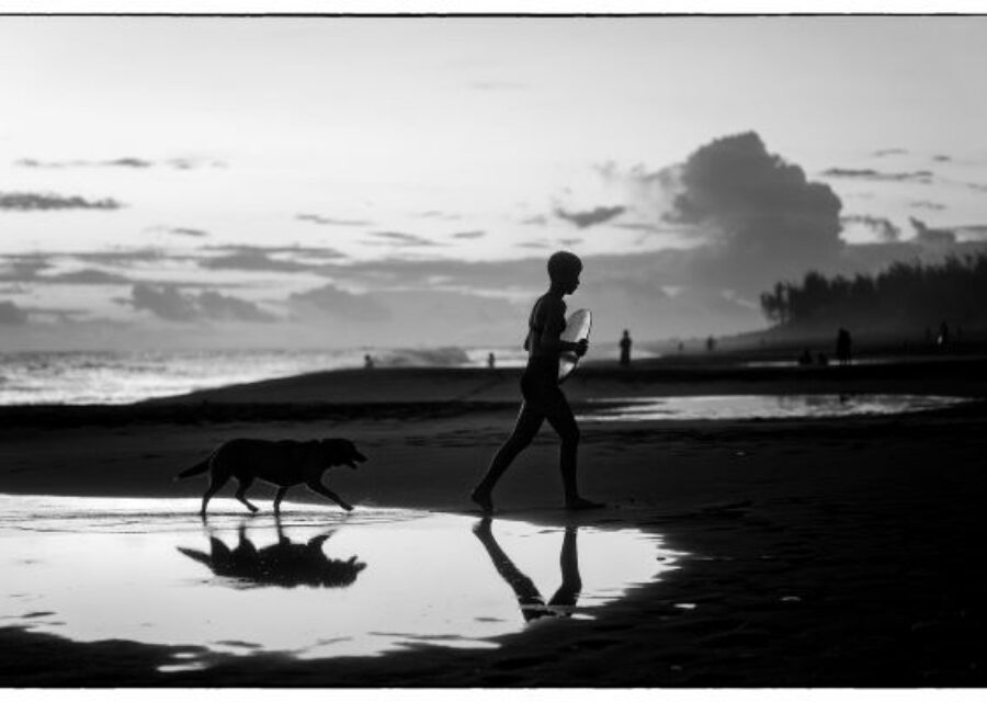 Sébastien Marchal • Le Carré